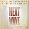 Heat Wave: A Social Autopsy of Disaster in Chicago (Illinois ...