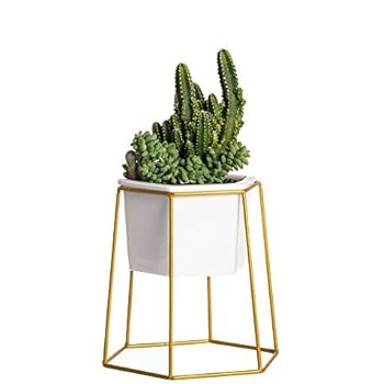Amazon.com : Modern Metal Cube Frame Planter Bowl, Decorative Accent ...