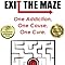Exit the Maze: One Addiction, One Cause, One Cure: Marks, Dr. Donna ...