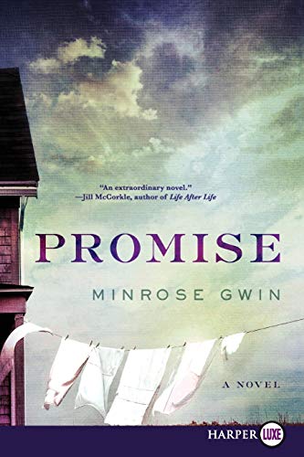 Promise: A Novel: Gwin, Minrose: 9780062791849: Amazon.com: Books