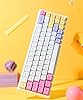 BOYI WK68 Hot Swappable RGB Mechanical Keyboard,Wireless Bluetooth 5.0 ...