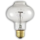 Bulbrite Incandescent G30 Medium Screw Base (E26) Light Bulb, 40 Watt ...