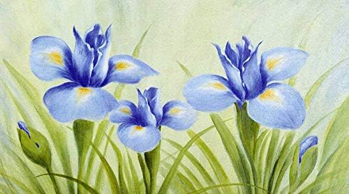 Tableau vinyl, Floral And Botanical - 70x100 cm price in Egypt | Amazon ...