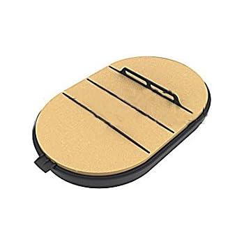 Amazon.com: Caterpillar 2934053 293-4053 Engine Air Filter Advanced ...