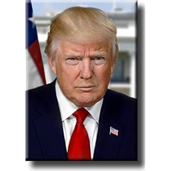 Amazon.com: President Donald Trump Official Portrait Picture on ...