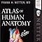 Atlas of Human Anatomy, 7e (Netter Basic Science): Amazon.co.uk: Netter ...