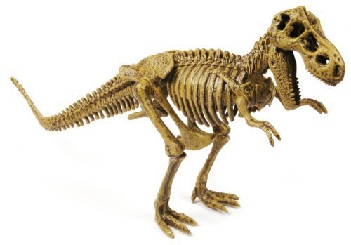 Купить Geoworld Jurassic Eggs T-Rex Skeleton Assembly Set by Geoworld ...