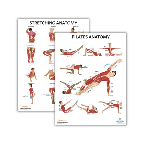 Mua Anatomy Lab 2 PACK Stretching and Pilates Anatomy Posters Set ...