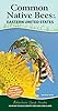 Common Native Bees of the Eastern United States: Your Way to Easily ...