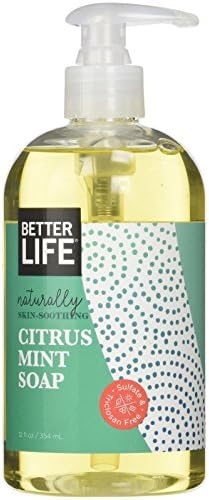 Better Life No Regrets Liquid Hand & Body Soap - Citrus Mint - 12 oz ...