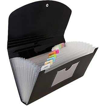 Amazon.com : BTSKY 13 Pockets Expanding Check Bill File Folder-Hand ...