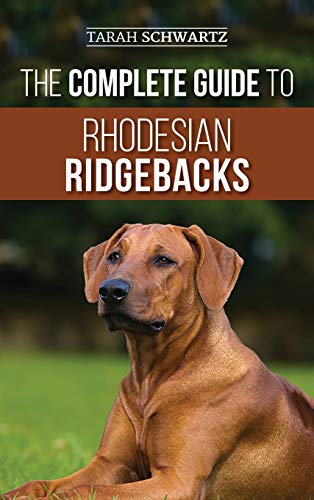 The Complete Guide to Rhodesian Ridgebacks: Breed Behavioral ...