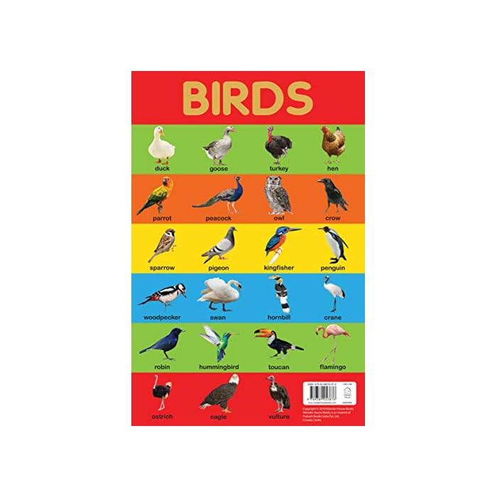 Buy Birds Chart - Early Learning Educational Chart For Kids: Perfect ...