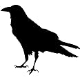 Amazon.com - Crow Silhouette Bird Vinyl Decal Car Water Bottle Sticker
