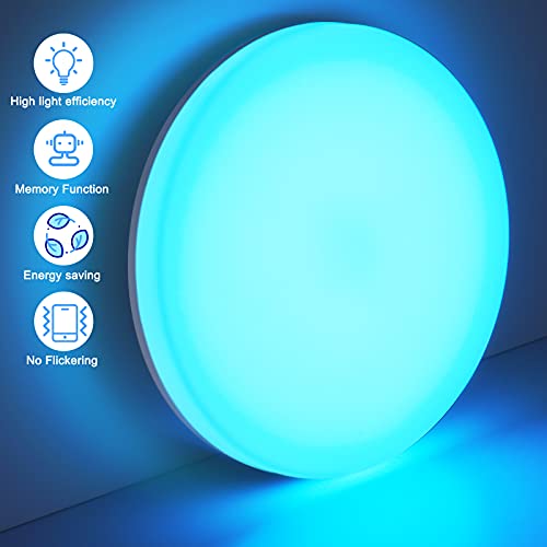 Oeegoo RGB Dimmable LED Flush Mount Ceiling Light with Remote, 3000K ...
