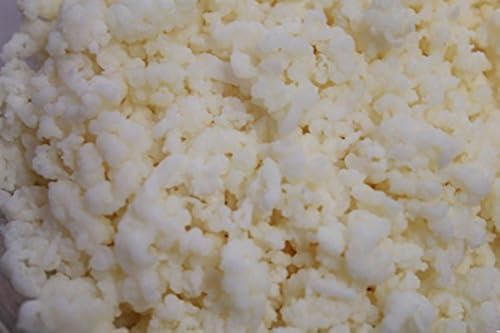 Lifetime Kefir Milk Kefir Grains in Oman | Whizz Kitchen & Dining