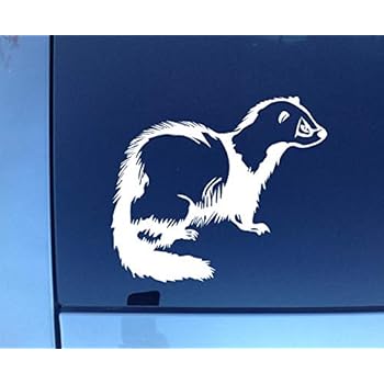 Amazon.com: FERRET - Ferrett Weasel - Vinyl Car Decal Sticker #1513 ...