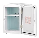 Ryobi Air Conditioned Drink Cooler / Air Cooler - The Green Head