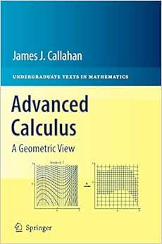 Advanced Calculus: A Geometric View (Undergraduate Texts in Mathematics ...