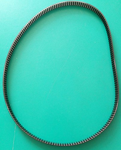 Cinghia di ricambio per macchina del pane misura 570 mm x 8,00 mm (Z0R)