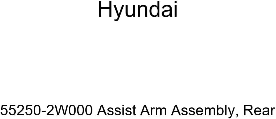Genuine Hyundai 55250-2W000 Assist Arm Assembly, Rear, Control Arms ...