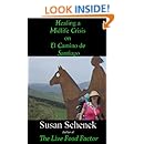 Healing a Midlife Crisis on El Camino de Santiago - Kindle edition by ...