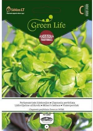 Seklos LT | Miner’s Lettuce Seeds | Vegetable Seeds | for Gardening ...