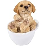 Amazon.com: Pacific Giftware Pug Puppy Adorable Mini Teacup Pet Pals ...