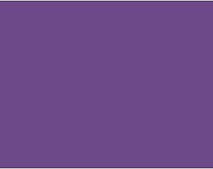 Amazon.com : BAZIC 22" X 28" Purple Poster Board (Case of 25 ...