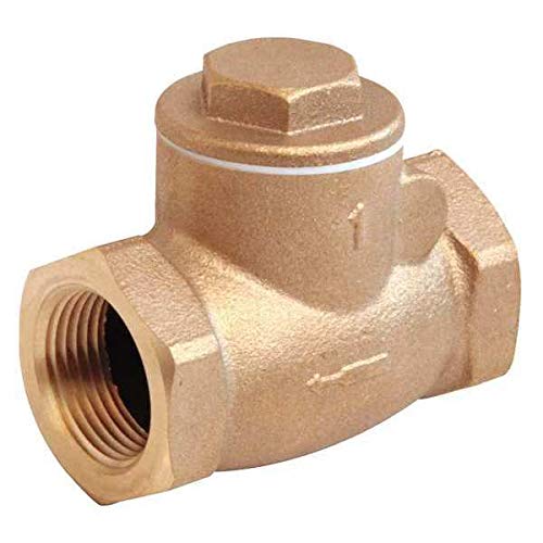 1-1/4" NPT Bronze Swing Check Valve in Kenya | Whizz Check Valves