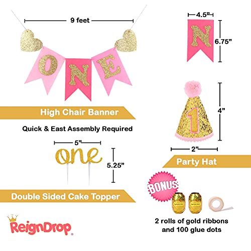 ReignDrop Baby Girl 1st Birthday Decorations Set – First Birthday Party ...