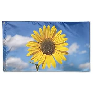 Amazon.com : Sunflower Garden Flag 3' X 5' : Garden & Outdoor