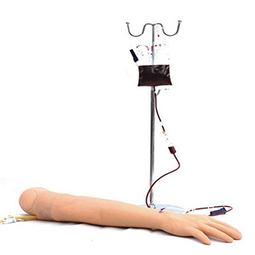 Buy Pevor Teach Education Adult Venipuncture Injection Training Arm ...