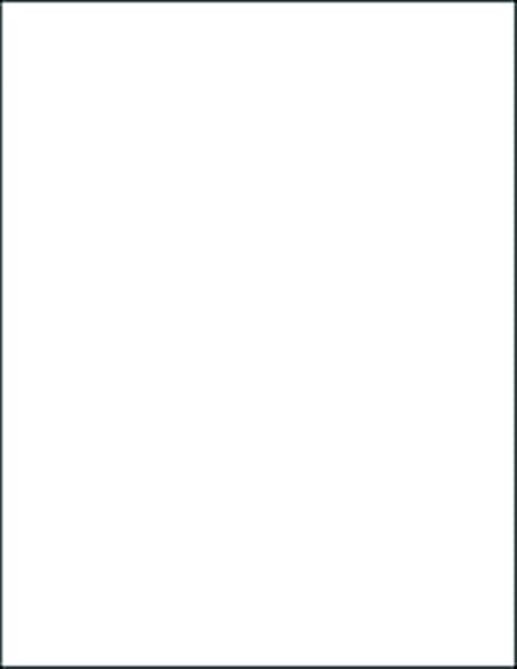 Blank A4 Page