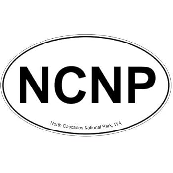 Amazon.com: Detroit Diesel sticker decal small NHRA IMCA USRA NTPA ...