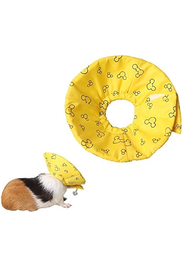 Cone Mouse Design For Rat Mouse Hamster And Birds | atelier-yuwa.ciao.jp