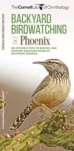 Backyard Birdwatching in Phoenix: An Introduction to Birding and Common ...