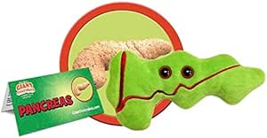 Amazon.com: GIANTmicrobes Pancreas Plush : Toys & Games