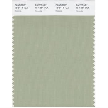 PANTONE Smart 12-0722X Color Swatch Card, French Vanilla - Wall Decor ...
