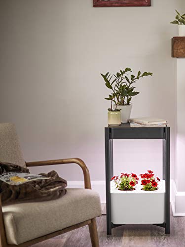 Miracle-Gro Twelve Indoor Growing System, Side Table with LED Grow ...