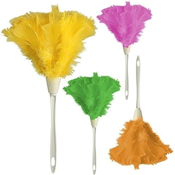 Amazon.com: ( Set of 4) 13'' Colored Feather Duster, Plastic - Random ...