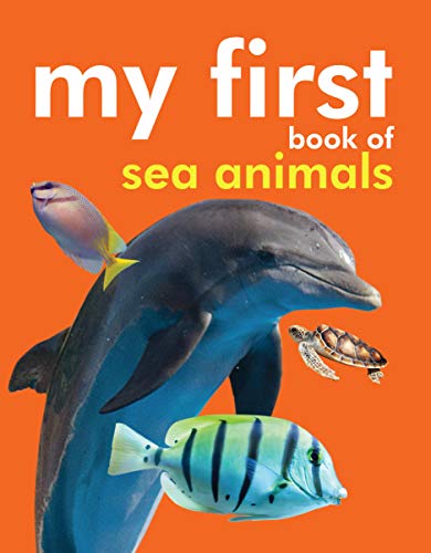 MY FIRST BOOK OF SEA ANIMALS [Hardcover] Omkidz: Omkidz: 9789352761401 ...