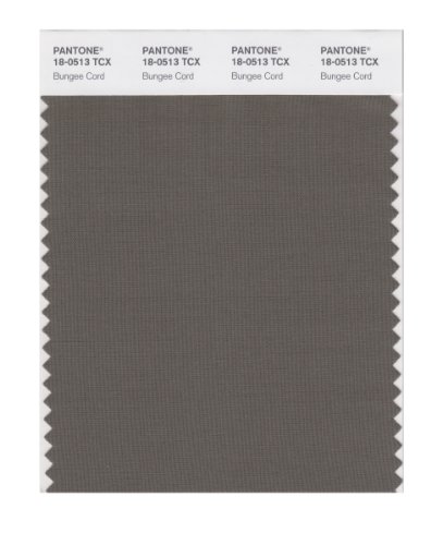 PANTONE SMART 18-0513X Color Swatch Card, Bungee Cord - Want It All