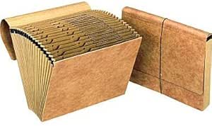 Amazon.com : 21 Pocket A-Z Expanding Alphabetical File Folder : Office ...