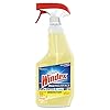 Windex Antibacterial Multi-Surface Cleaner, 32 oz + Refill 1 Gallon ...