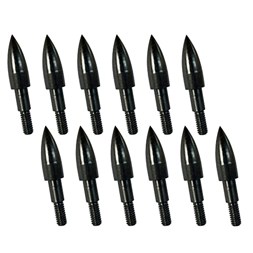 12pcs Archery Arrow Tips 100 Grain Field Tips 5/16 Inch Screw in Bullet ...