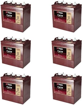 Amazon.com: Trojan T875 8 Volt, 170 AH Deep Cycle Battery - 6 Pack ...