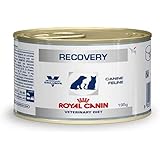 Royal Canin Veterinary Diet Recovery Liquid 3 x 200 ml: Amazon.co.uk ...