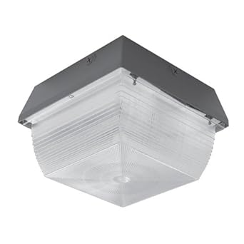 Hubbell Outdoor Lighting S9-70H 70-Watt Pulse Start Metal Halide ...