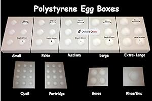 10 Polystyrene Egg Boxes Hatching Eggs All Sizes-Large: Amazon.co.uk ...